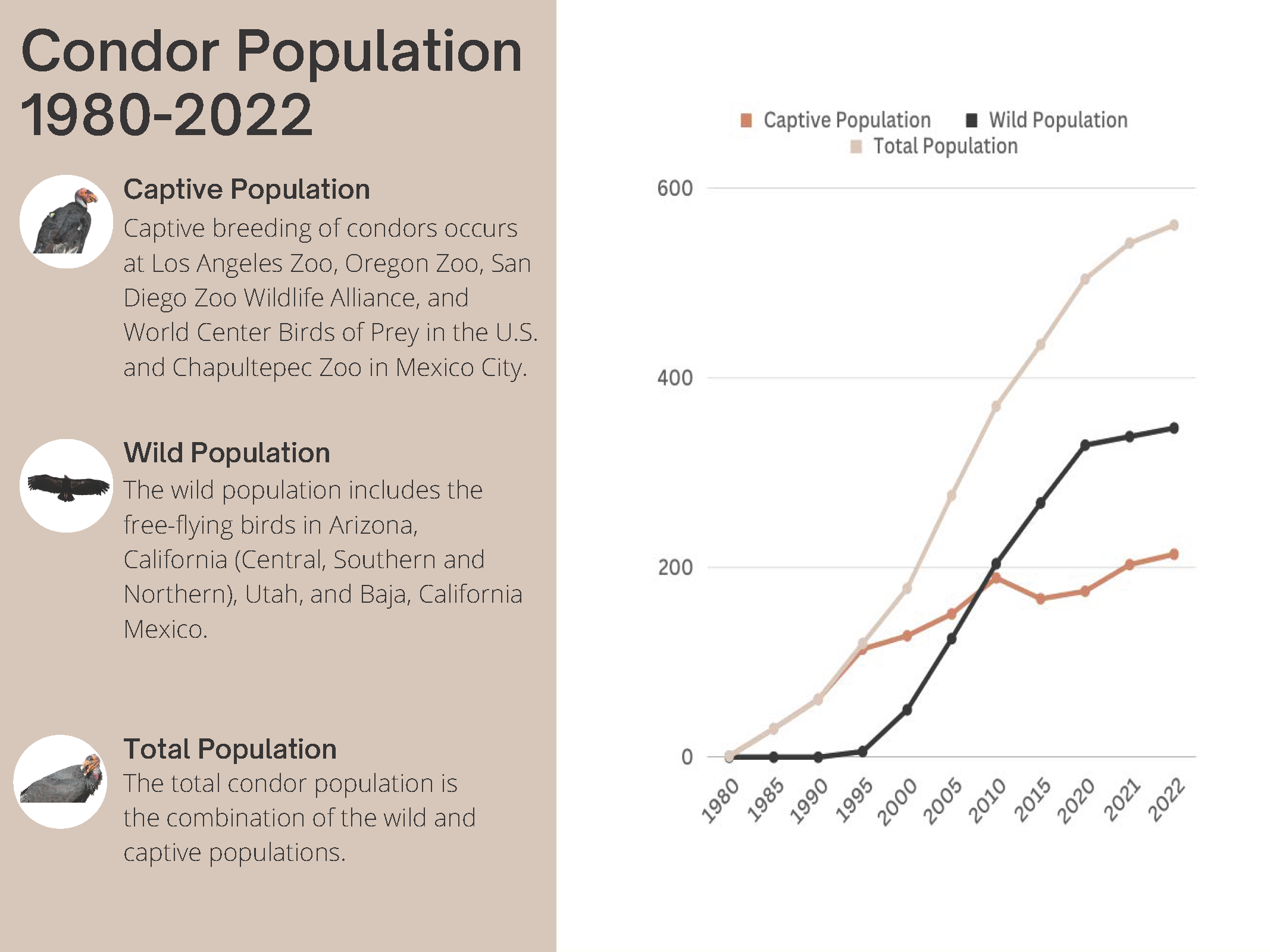 Condor Population Graph | FWS.gov